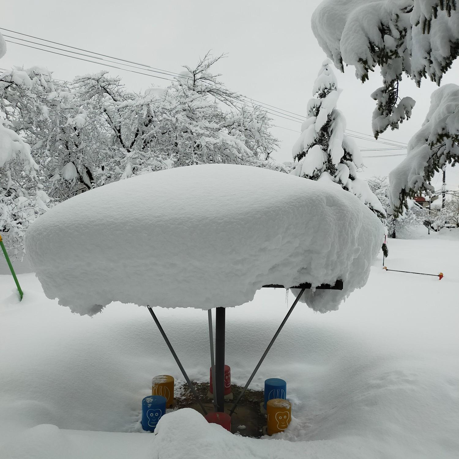 順調に巨大化してます😯 東屋の屋根が... / jtyhじじさんのモーメント | YAMAP / ヤマップ
