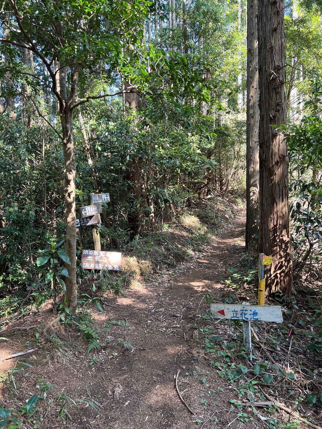 ken-endoさんの投稿したフィールドメモ | YAMAP / ヤマップ