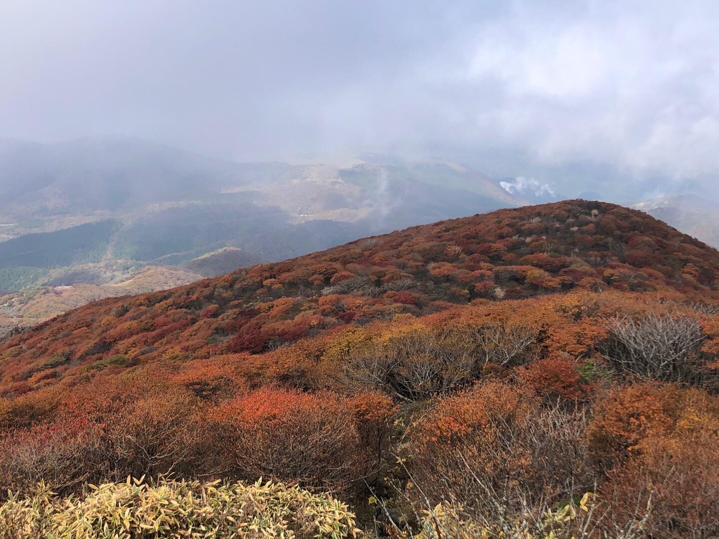 岩井川岳・扇ヶ鼻 紅葉 / ササじいさんの九重山（久住山）・大船山・星生山の活動データ | YAMAP / ヤマップ