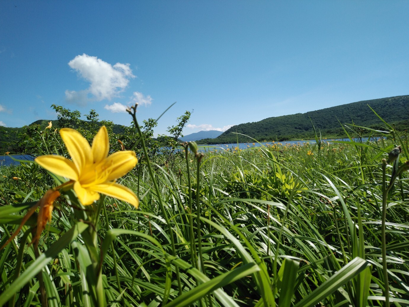 雄国沼トレッキング-2018-07-09 / エミリオさんの磐梯山・雄国山・赤埴山の活動データ | YAMAP / ヤマップ