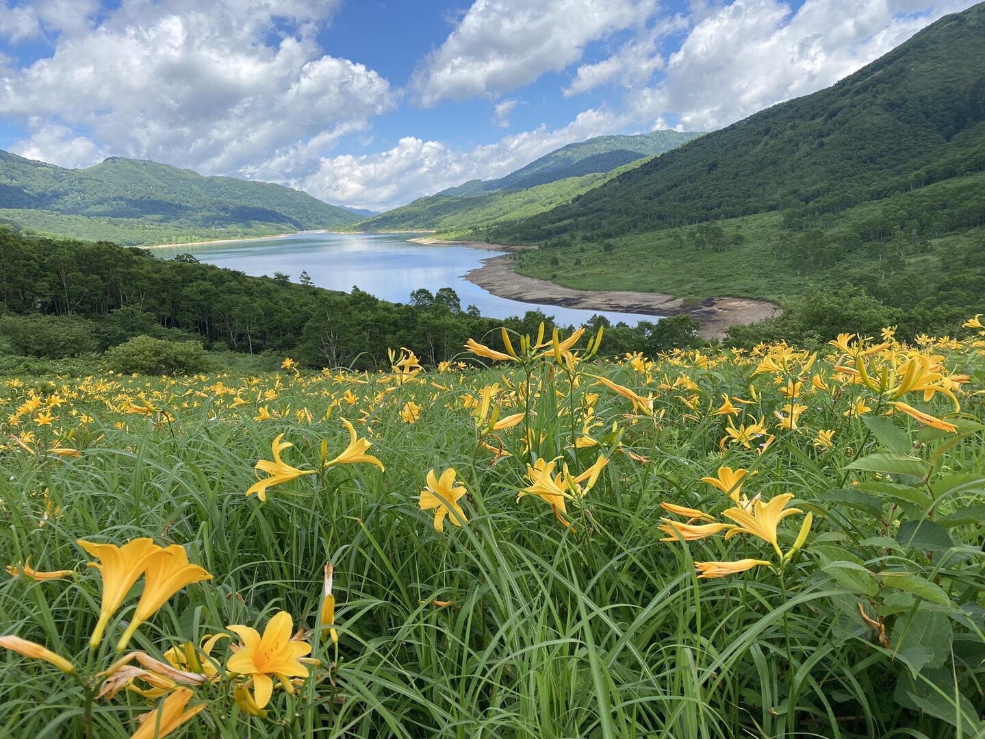 やっちゃいました😭 スタート ️押した... / taraさんのモーメント | YAMAP / ヤマップ