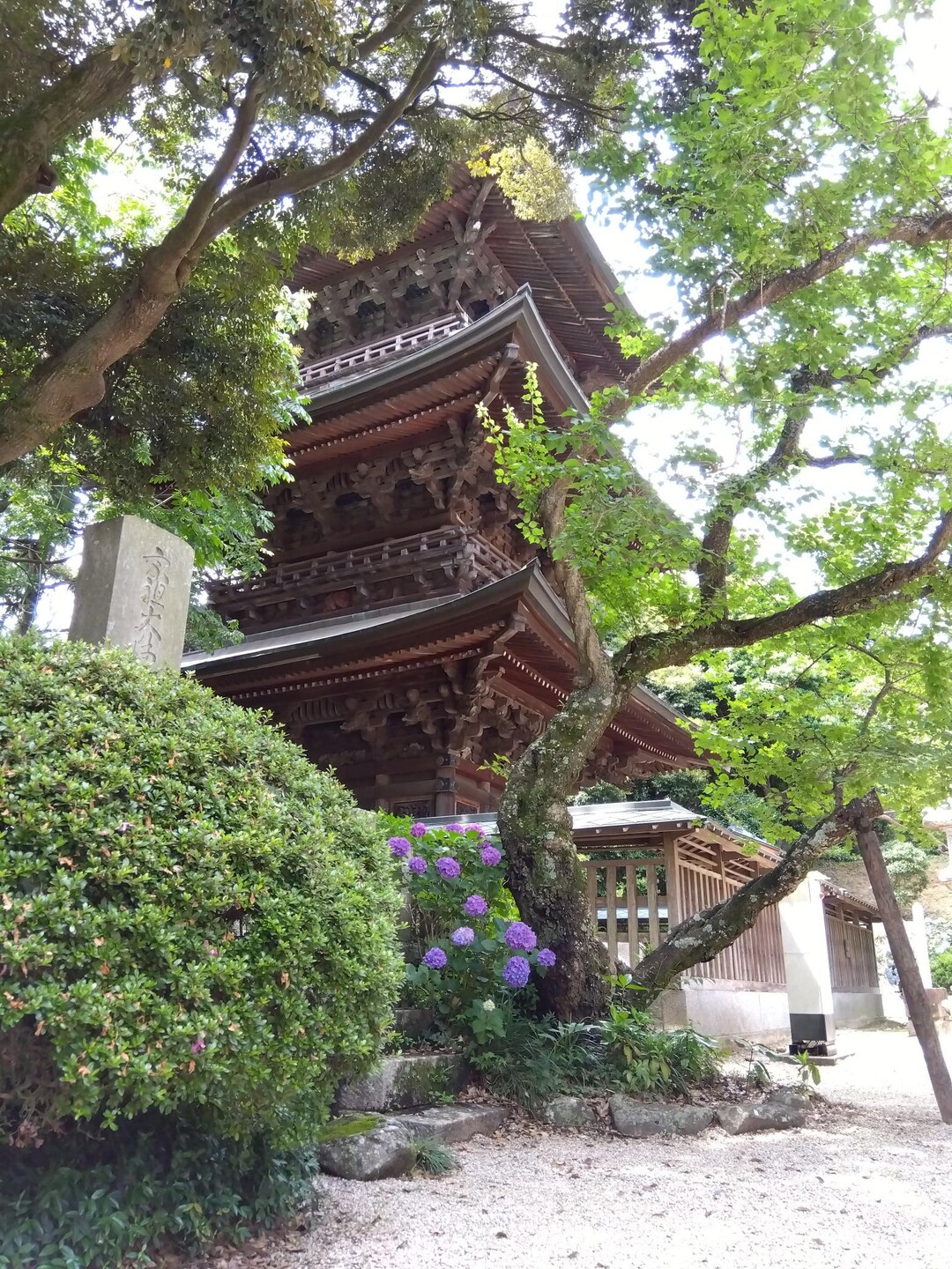 椎尾山・坊主山・筑波山（女体山） / w.miyukiさんの筑波山の活動データ | YAMAP / ヤマップ