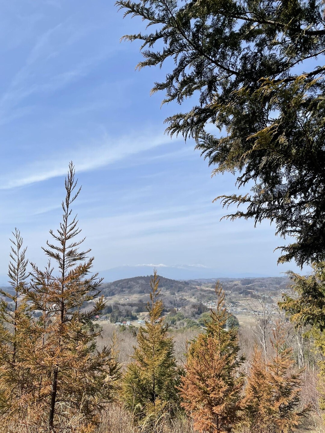 片曽根山（田村富士）へ / sammyくんさんの片曽根山（田村富士）の活動データ | YAMAP / ヤマップ