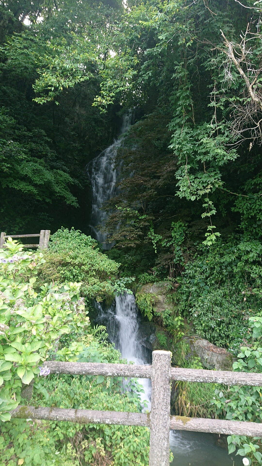 観音滝 マップをよく見ていないと通り過ぎ... / nappiさんのモーメント | YAMAP / ヤマップ