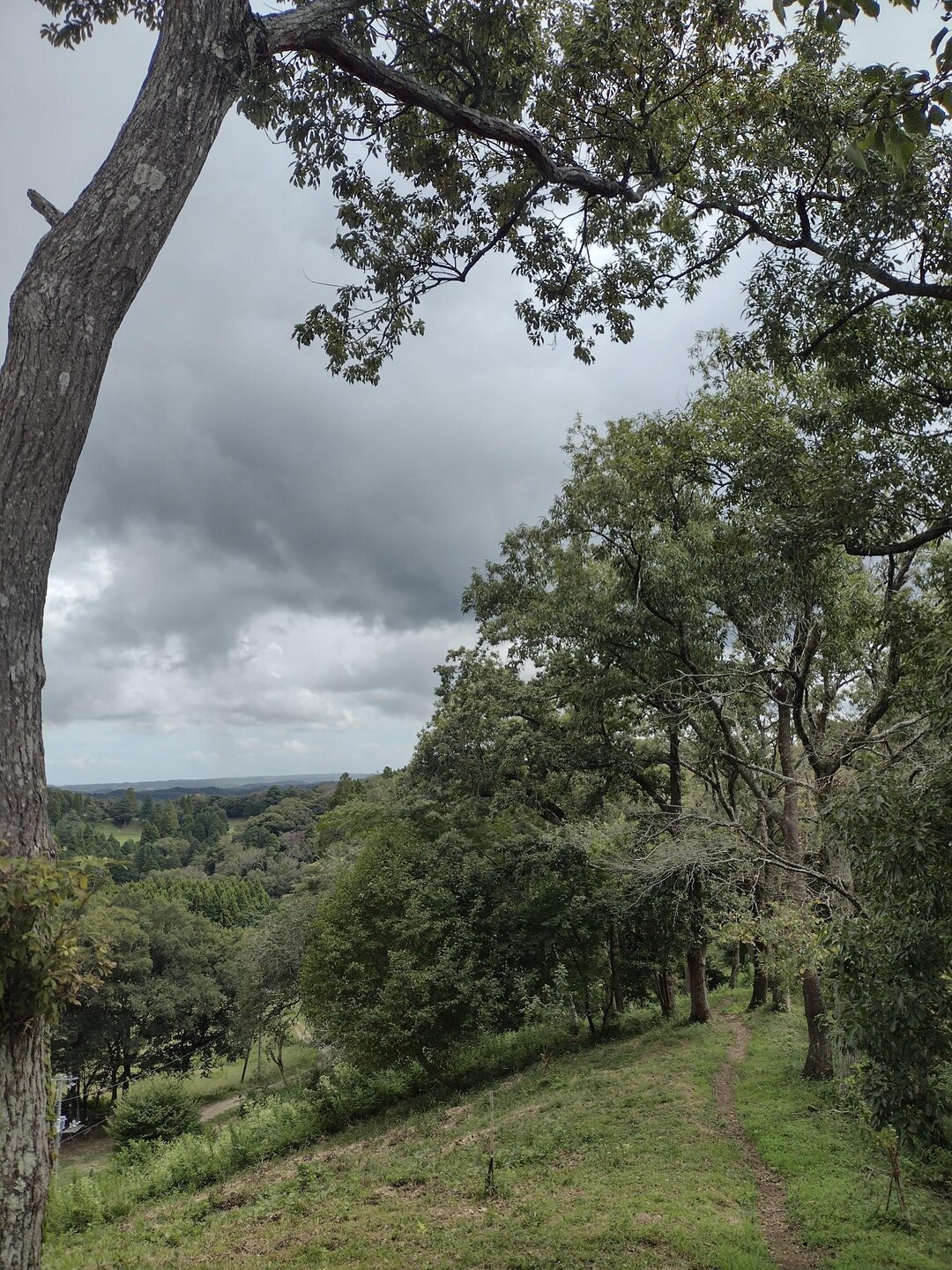 たぬき山・きつね山・御十八夜 / my-kyさんの 米沢の森の活動データ | YAMAP / ヤマップ