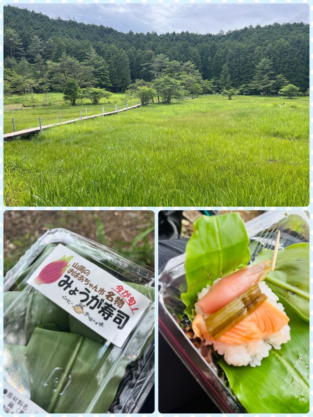 北屏風山・屏風山・八百山・馬の背山・黒の田山 / Naoko（おこ)🥾さんの屏風山の活動データ | YAMAP / ヤマップ