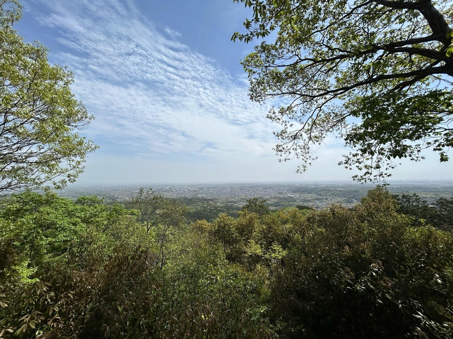 奥武蔵日和田山愛宕山縦走(Traverse from Mt. Hiwada to Mt. Atago) / Shintaさんの日和田山・物見山の活動データ | YAMAP / ヤマップ