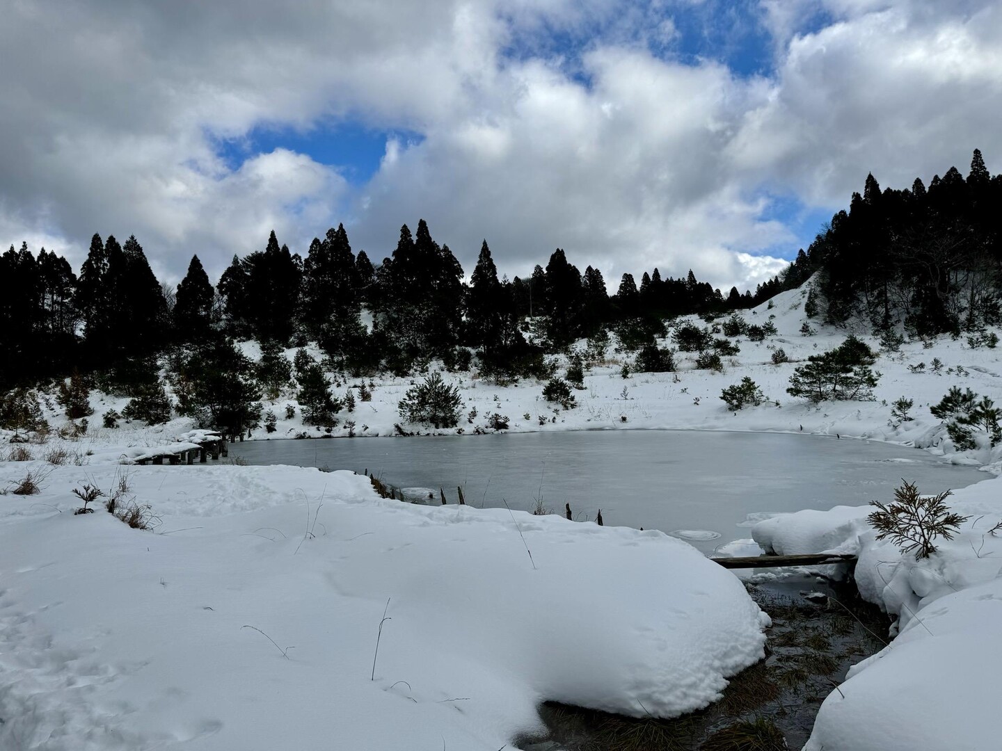 コヤマノ岳・武奈ヶ岳・前山 / Sa_kkiyさんの比良山地・武奈ヶ岳・釈迦岳の活動データ | YAMAP / ヤマップ