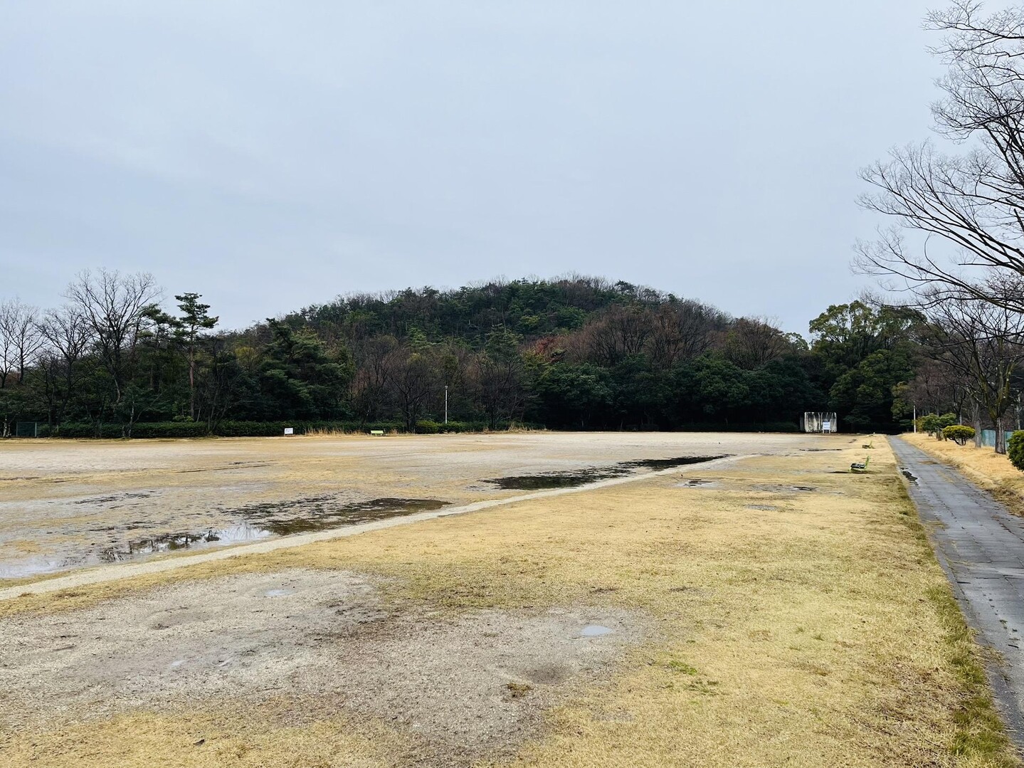 おまけのグレー🩶Peek⛰️『高森山』 / ぶるくんさんの春日井三山・弥勒山・大谷山・道樹山の活動データ | YAMAP / ヤマップ