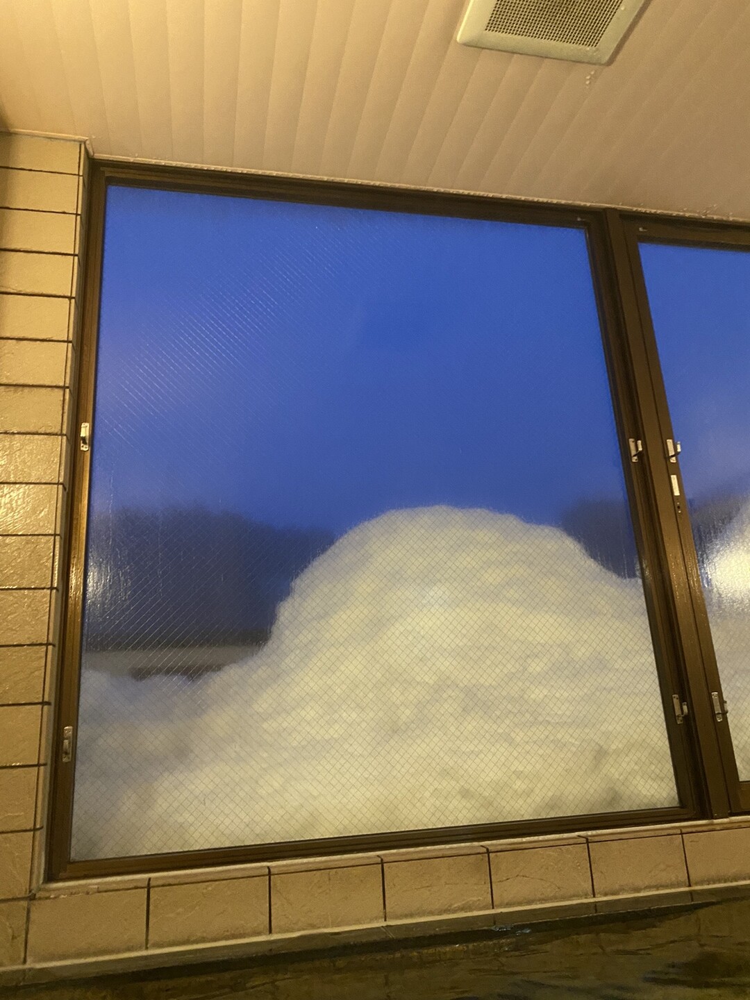 昨晩、酔っ払って変な投稿をしちゃったお詫... / ちびぴたさんのモーメント | YAMAP / ヤマップ