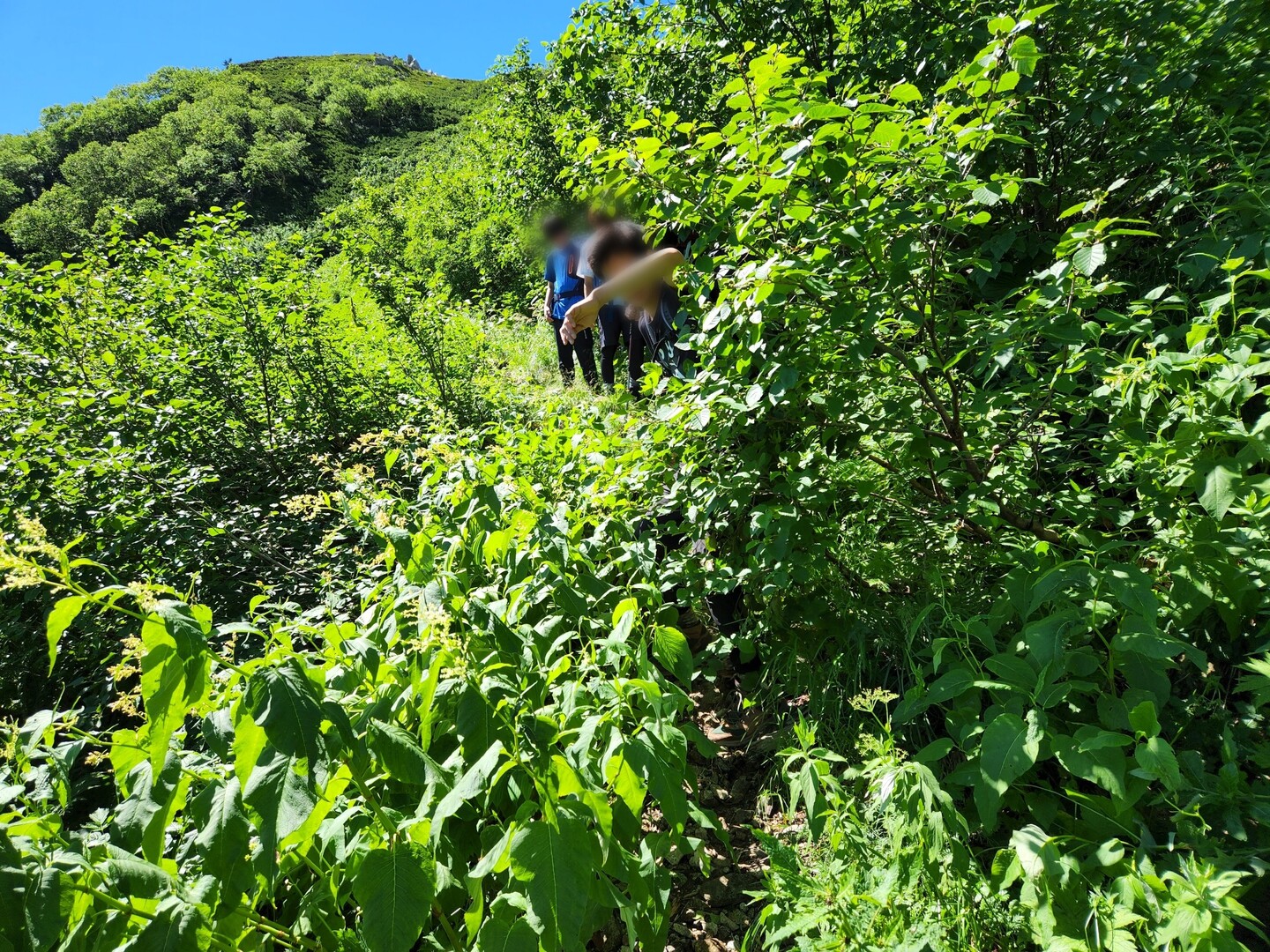 Tantalさんの投稿したフィールドメモ | YAMAP / ヤマップ