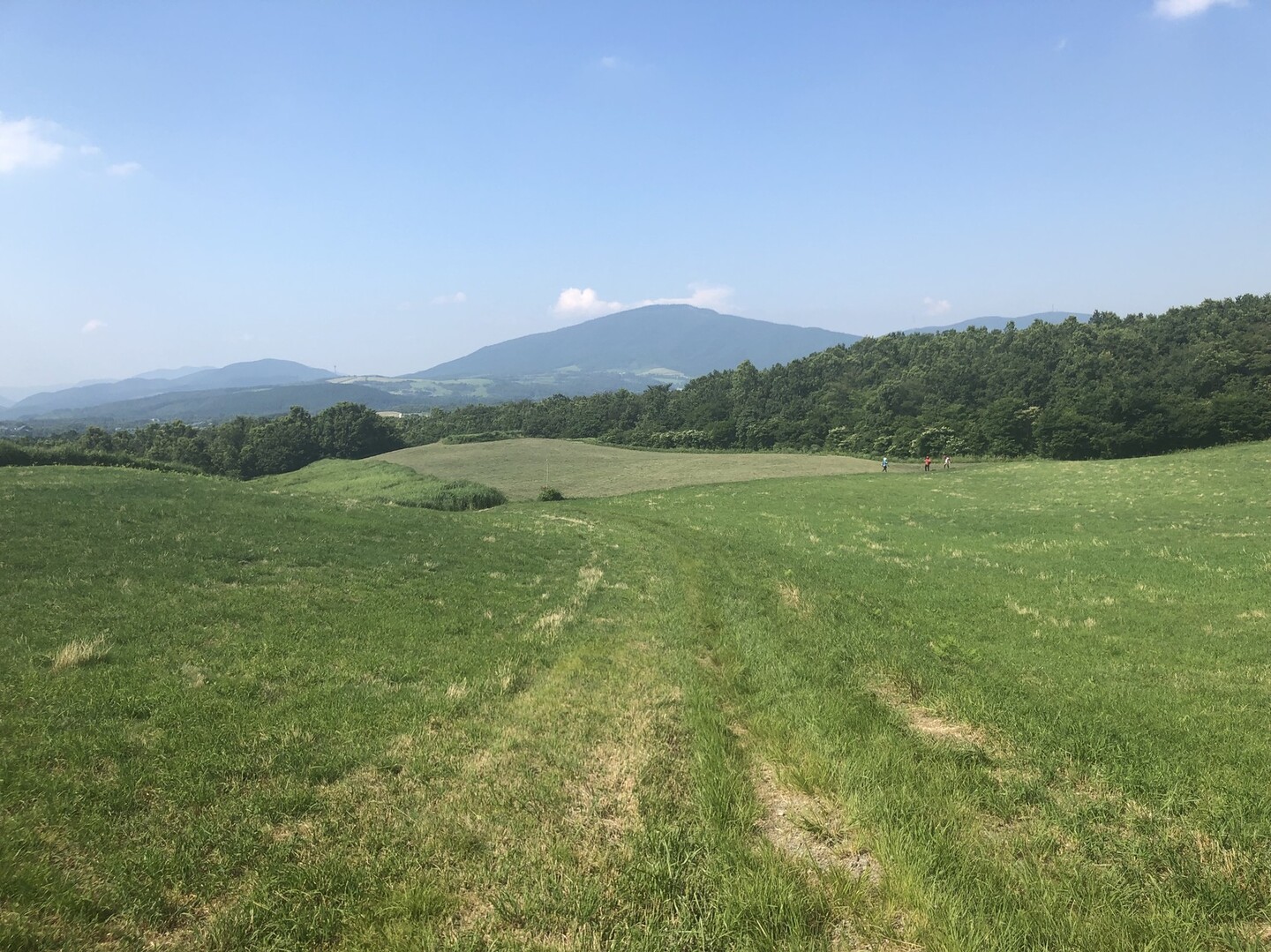 気分爽快の九重オルレ / Mr.かおなしさんのトレイルランニングの活動データ | YAMAP / ヤマップ