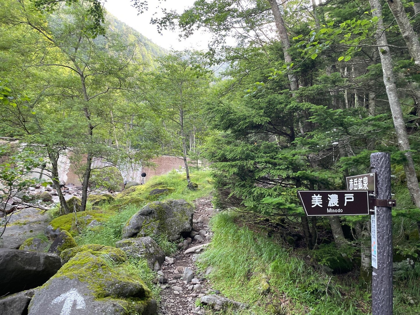 terryさんの投稿したフィールドメモ | YAMAP / ヤマップ