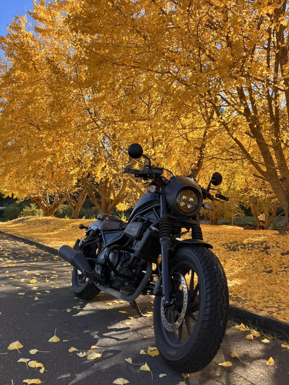 Rのページ | YAMAP / ヤマップ