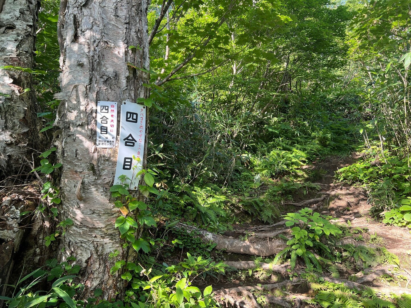 shuさんの投稿したフィールドメモ | YAMAP / ヤマップ