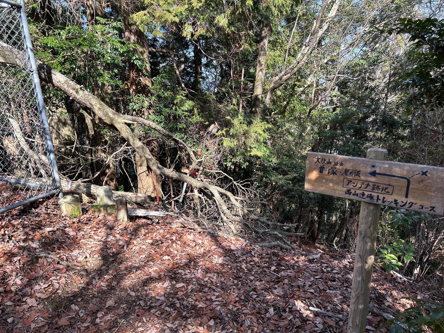 ぷーさん5646さんの投稿したフィールドメモ | YAMAP / ヤマップ