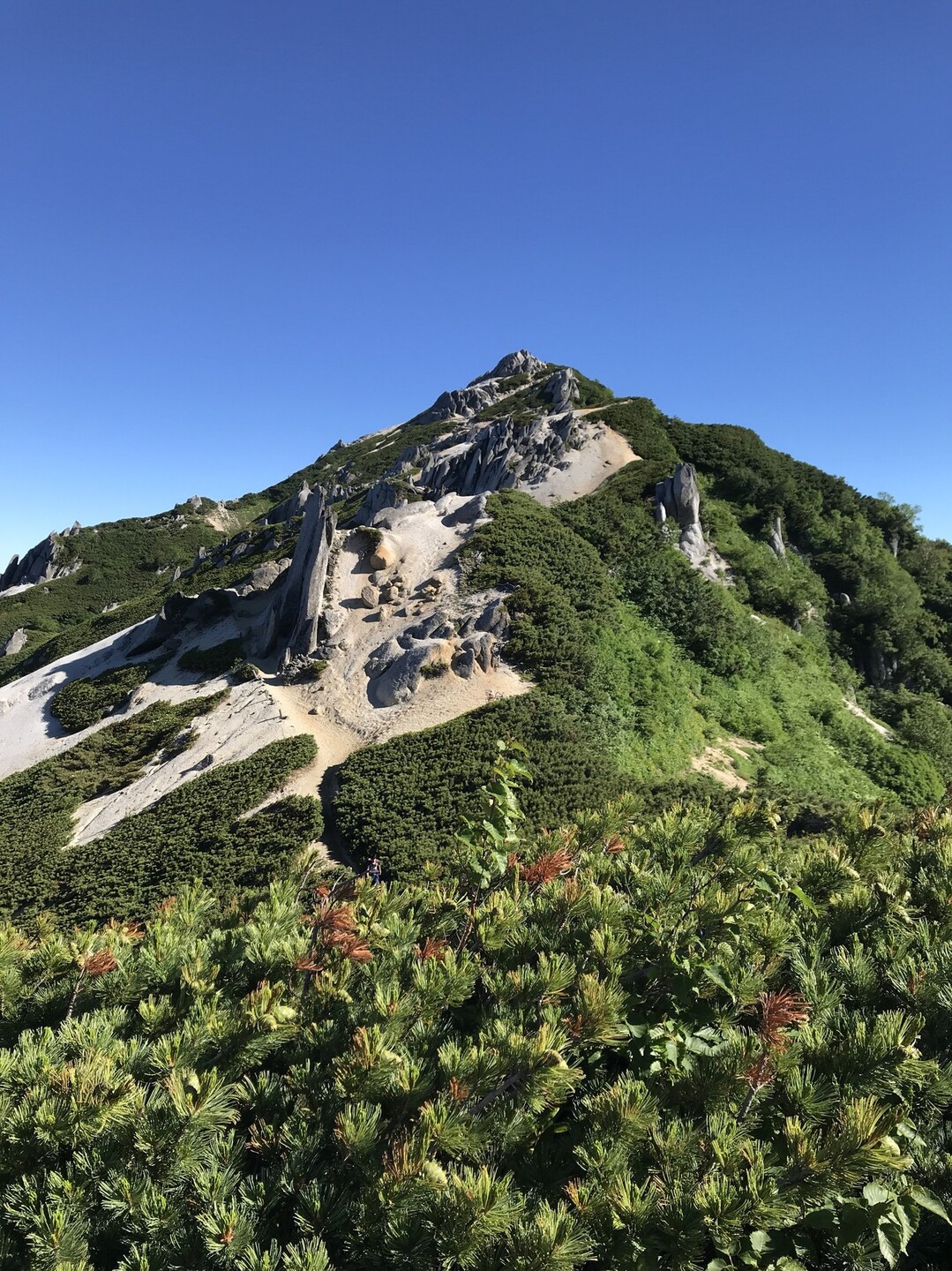 大天井岳、燕岳 / saka.hさんの常念岳・大天井岳・燕岳の活動データ | YAMAP / ヤマップ