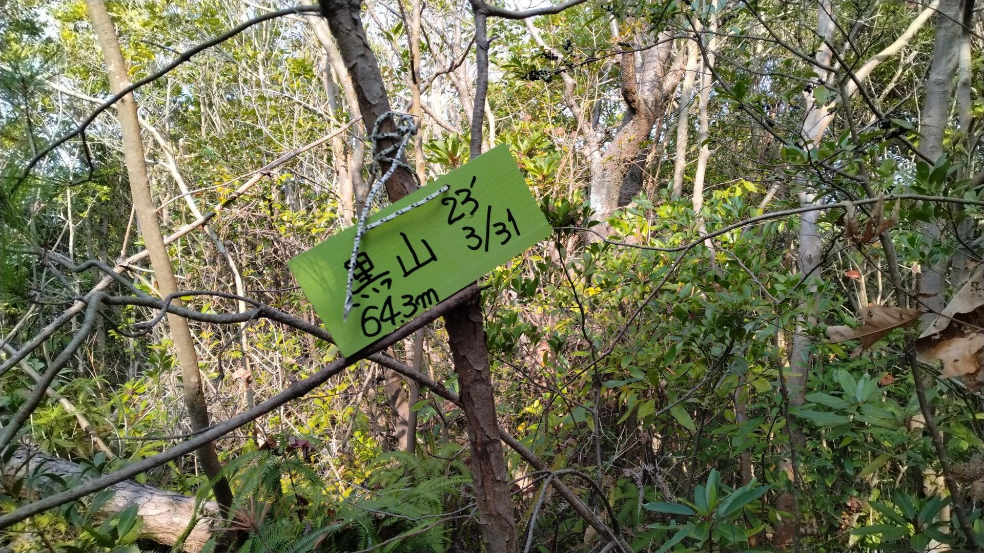 防府市…黒山 / KODAさんの田島山の活動データ | YAMAP / ヤマップ