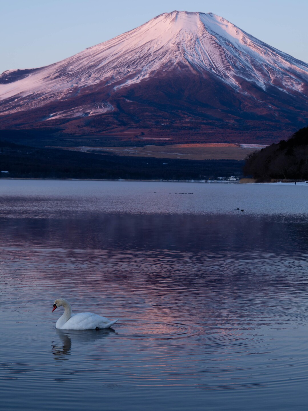 この土日にふらっと山中湖に行ってきました... / Okamonさんのモーメント | YAMAP / ヤマップ