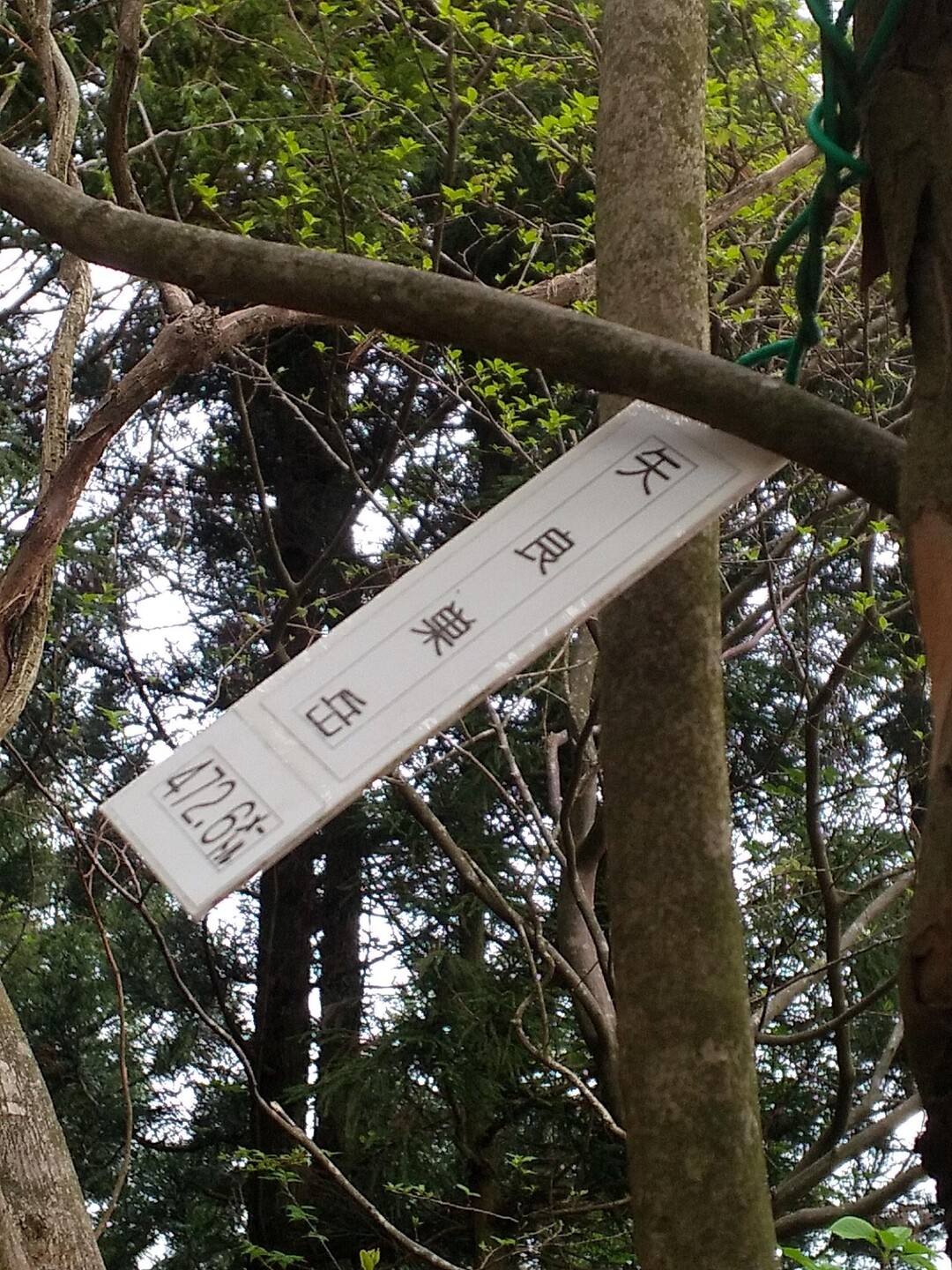 矢良巣岳 / opal糸さんの矢良巣岳の活動データ | YAMAP / ヤマップ