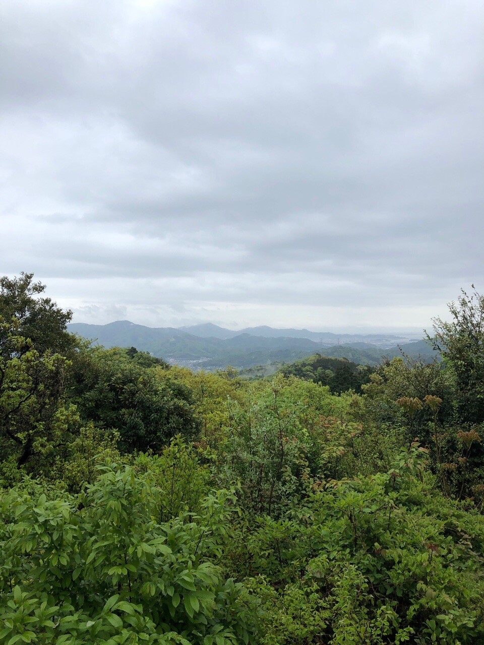 雨の茶臼山（西尾） / Chayaさんの茶臼山・万灯山の活動データ | YAMAP / ヤマップ