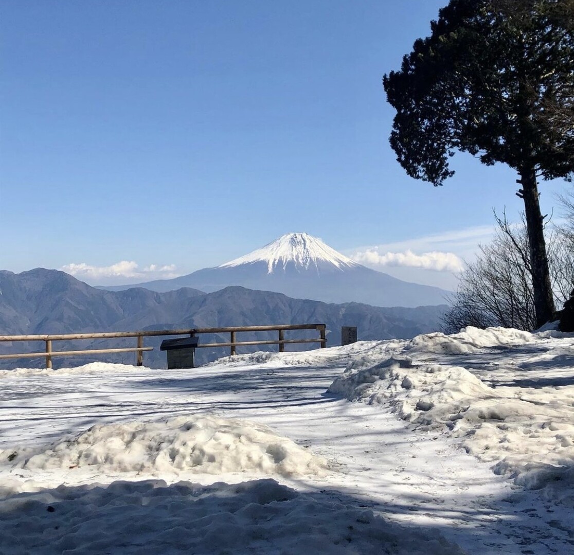 七面山・身延山-2021-02-23 / HALさんの七面山・身延山の活動データ | YAMAP / ヤマップ