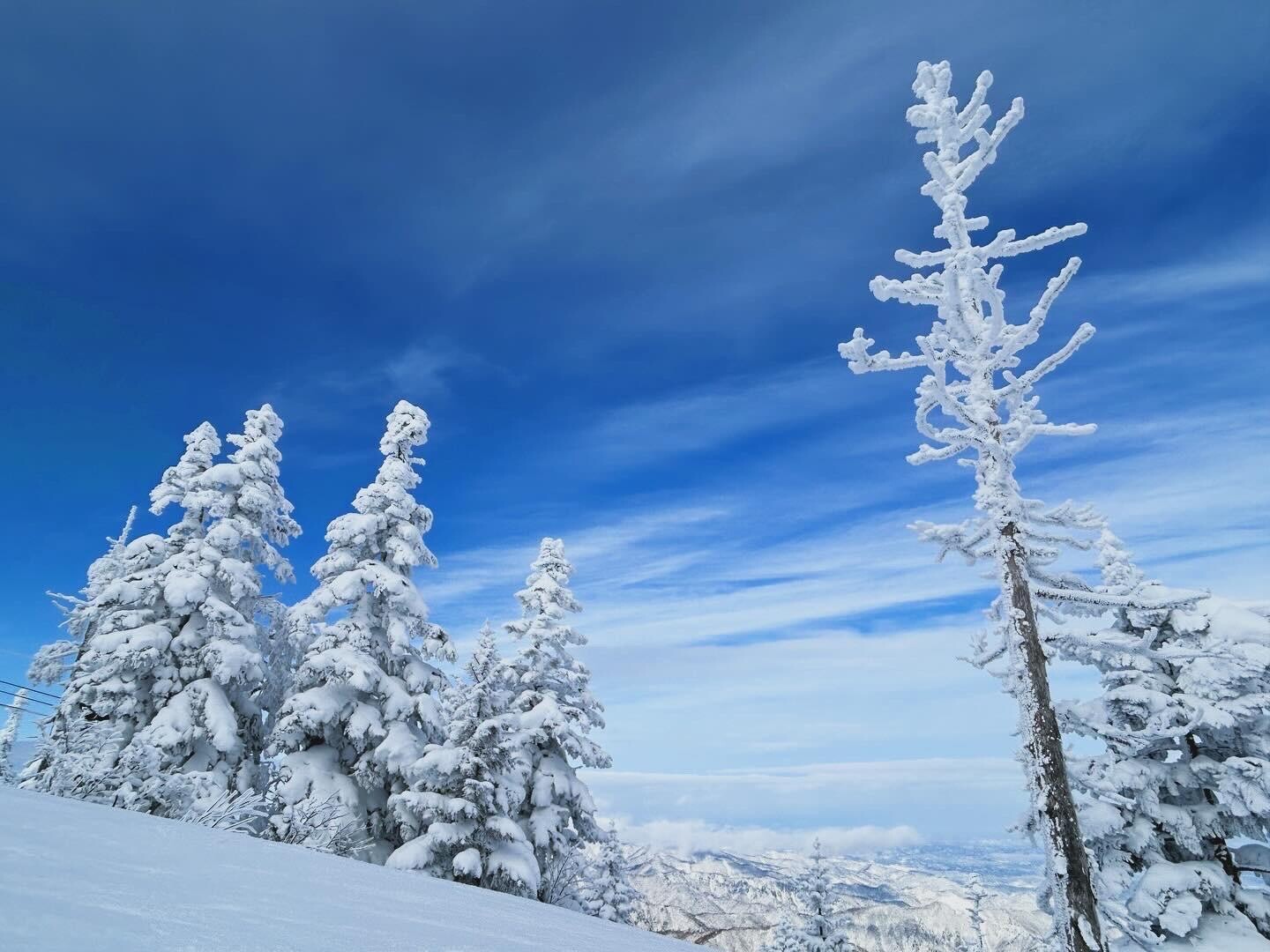 初滑りは天元台でした🏂 クリスマスだ... / momoさんのモーメント | YAMAP / ヤマップ