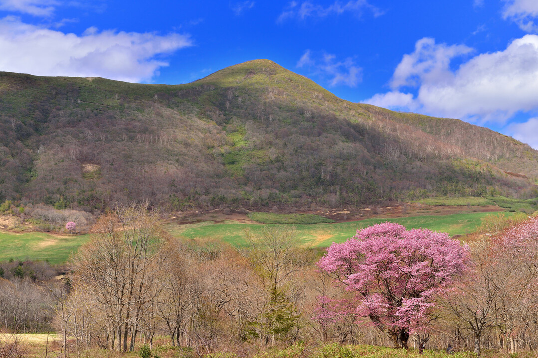 七時雨山の最新登山情報 人気の登山ルート、写真、天気など Yamap ヤマップ
