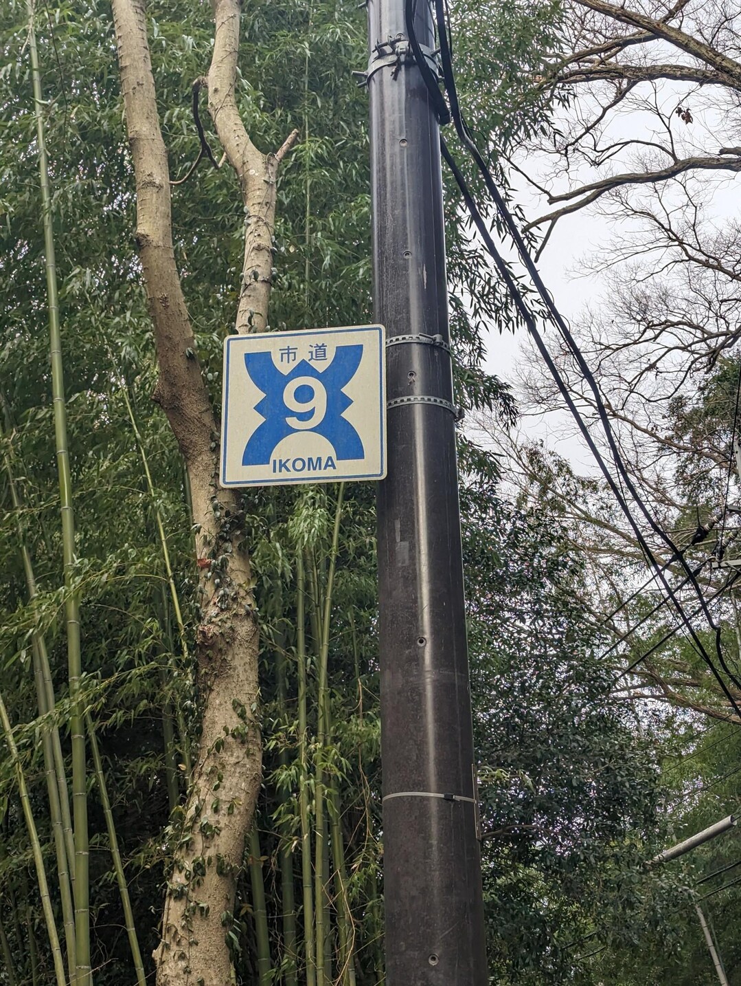 サクッと生駒山のはずが‥神津嶽・小倉山 / kokeさんの生駒山・神津嶽・大原山の活動データ | YAMAP / ヤマップ