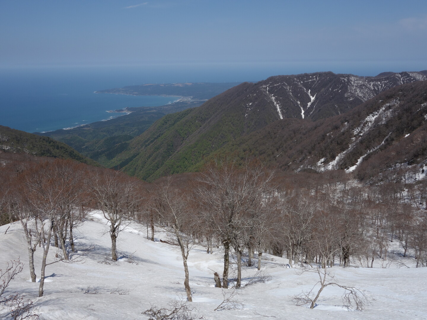 白神岳（マテ山コース） / we_ma2さんの白神岳・蟶山・大峰岳の活動データ | YAMAP / ヤマップ