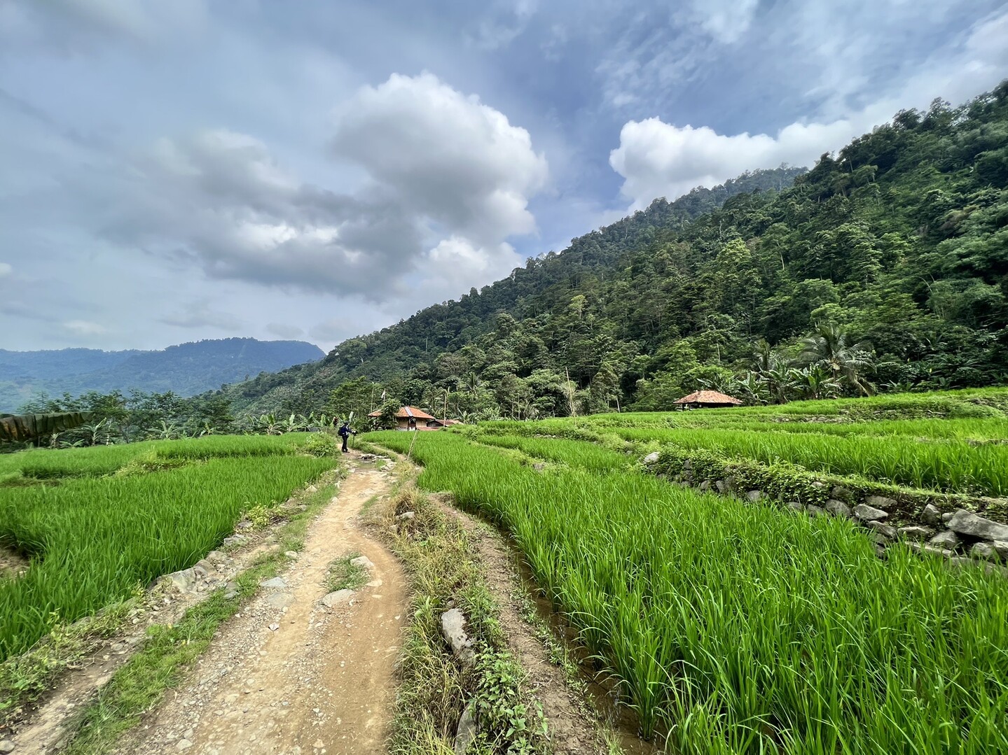 🇮🇩Gn Sanggabuana / FJ mossanさんのサンガブアナの活動日記 | YAMAP / ヤマップ