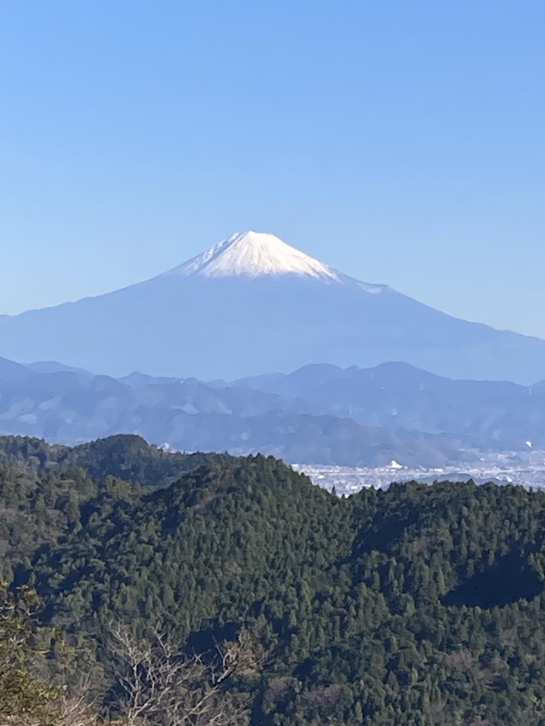 焼津アルプス 5座 / mimiさんの焼津アルプス（高草山・満観峰・花沢山）・徳願寺山の活動データ | YAMAP / ヤマップ