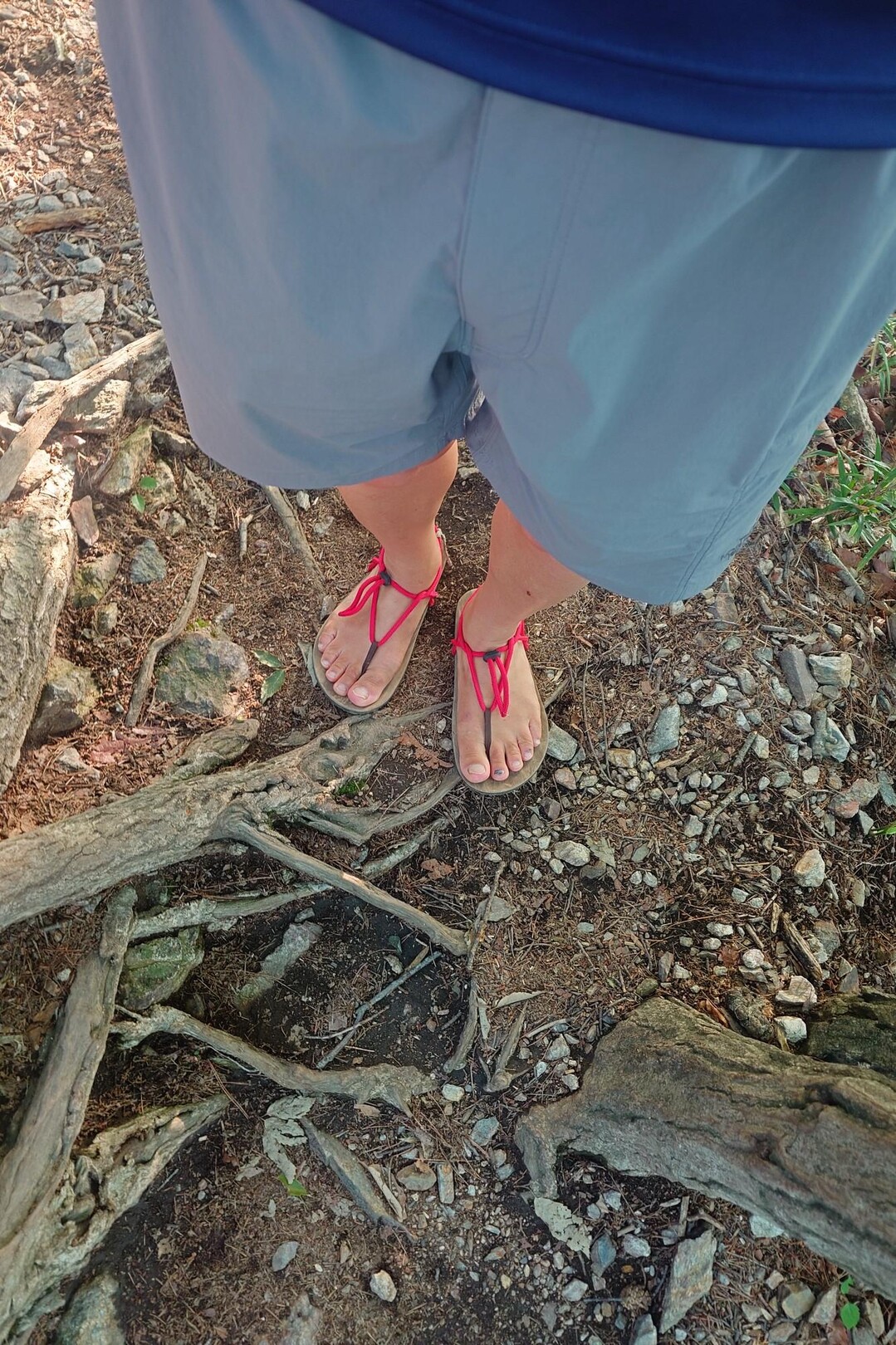 やっとこ完治 29分登頂 / ta2さんの鳴神山・吾妻山の活動データ | YAMAP / ヤマップ