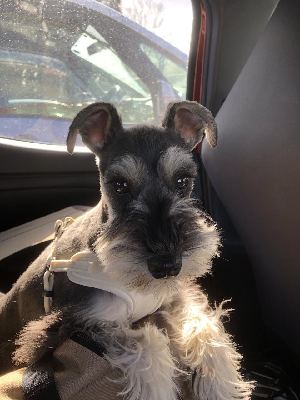 shimaのページ | YAMAP / ヤマップ