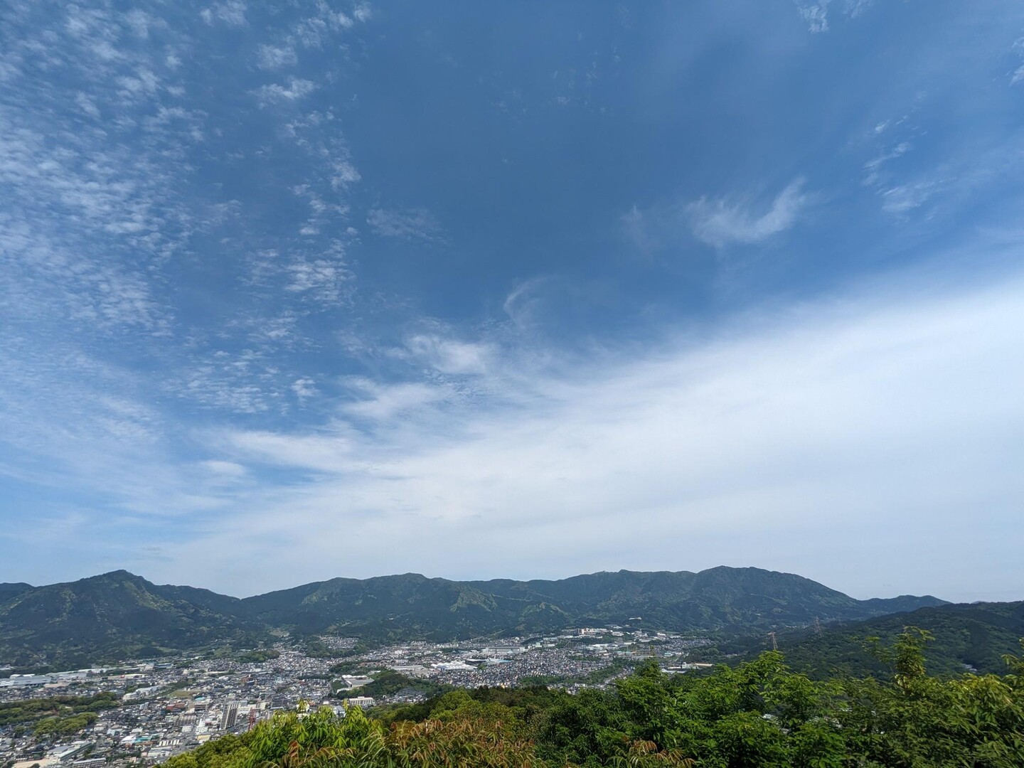おかわりで井野山へ🐗 / neyさんの井野山の活動データ | YAMAP / ヤマップ