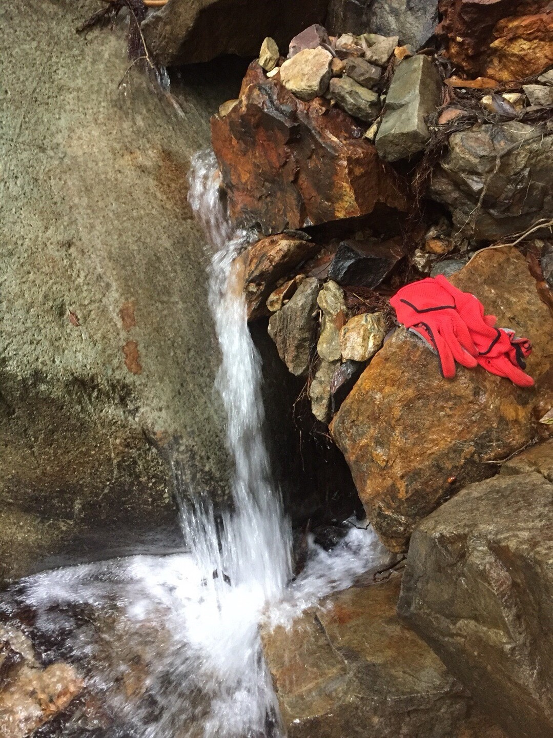 2018/06/24 傾山 / choroさんの傾山の活動データ | YAMAP / ヤマップ