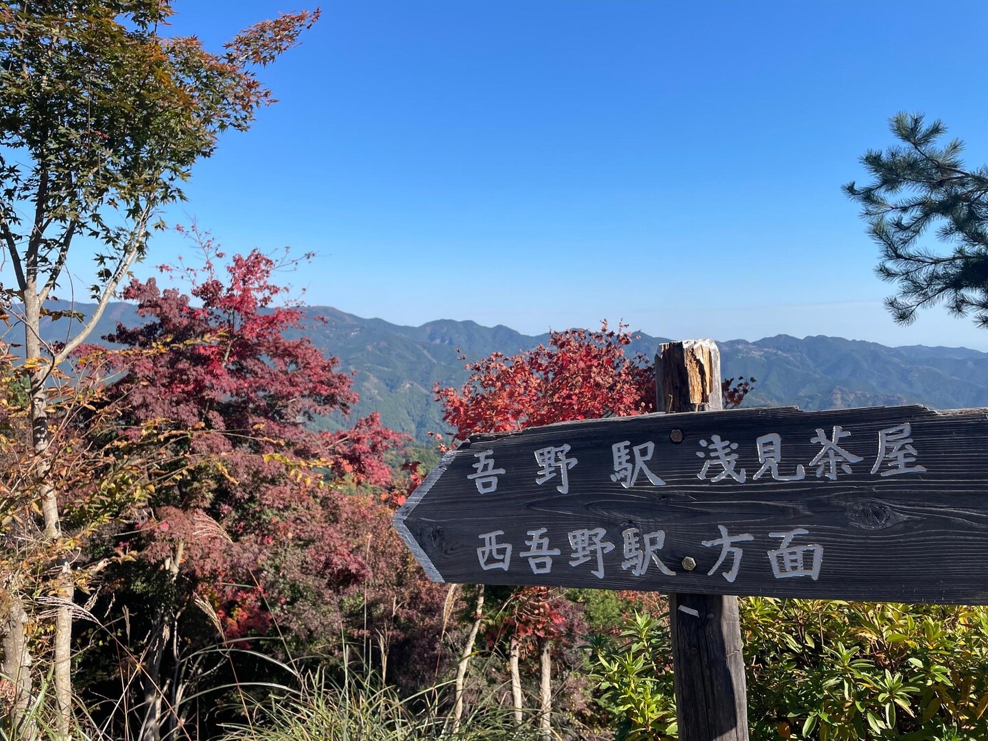 ririさんの投稿したフィールドメモ | YAMAP / ヤマップ