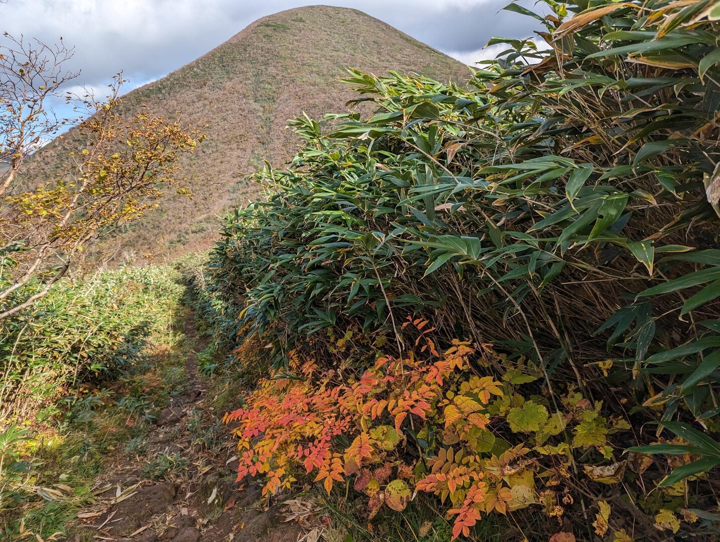 シャクナゲ岳からみたチセヌプリ / hdl(🌻はるはる🌻)さんのニセコアンヌプリ・イワオヌプリ・チセヌプリの活動データ | YAMAP / ヤマップ