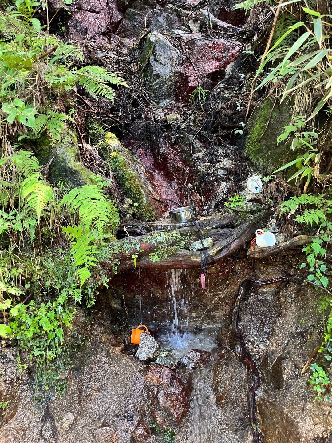 金剛山 / milky55さんの金剛山・二上山・大和葛城山の活動データ | YAMAP / ヤマップ