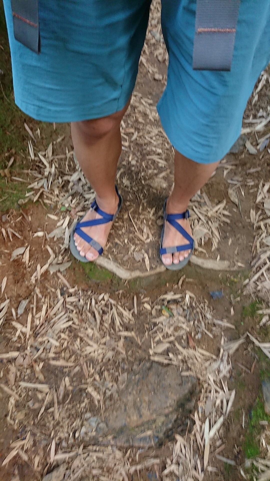 出勤前20kg歩荷登山6日目 / ta2さんの鳴神山・吾妻山の活動データ | YAMAP / ヤマップ