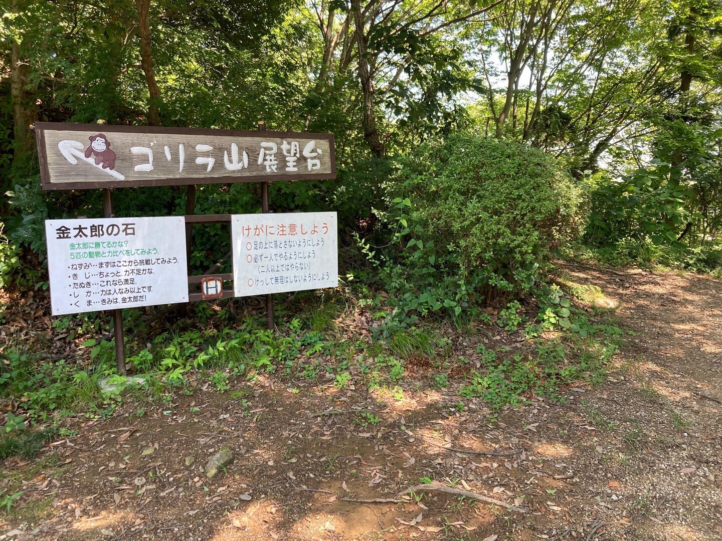 taoさんの投稿したフィールドメモ | YAMAP / ヤマップ