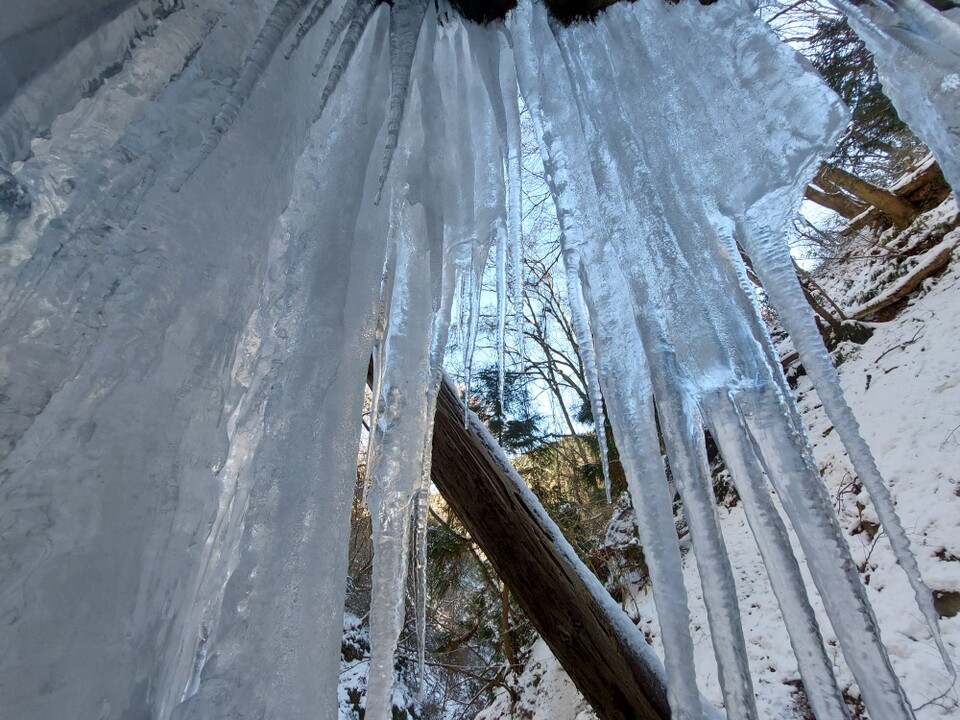 水越峠バス停-金剛山山頂売店-金剛山 往復コースの地図・登山ルート・登山口情報 | YAMAP / ヤマップ