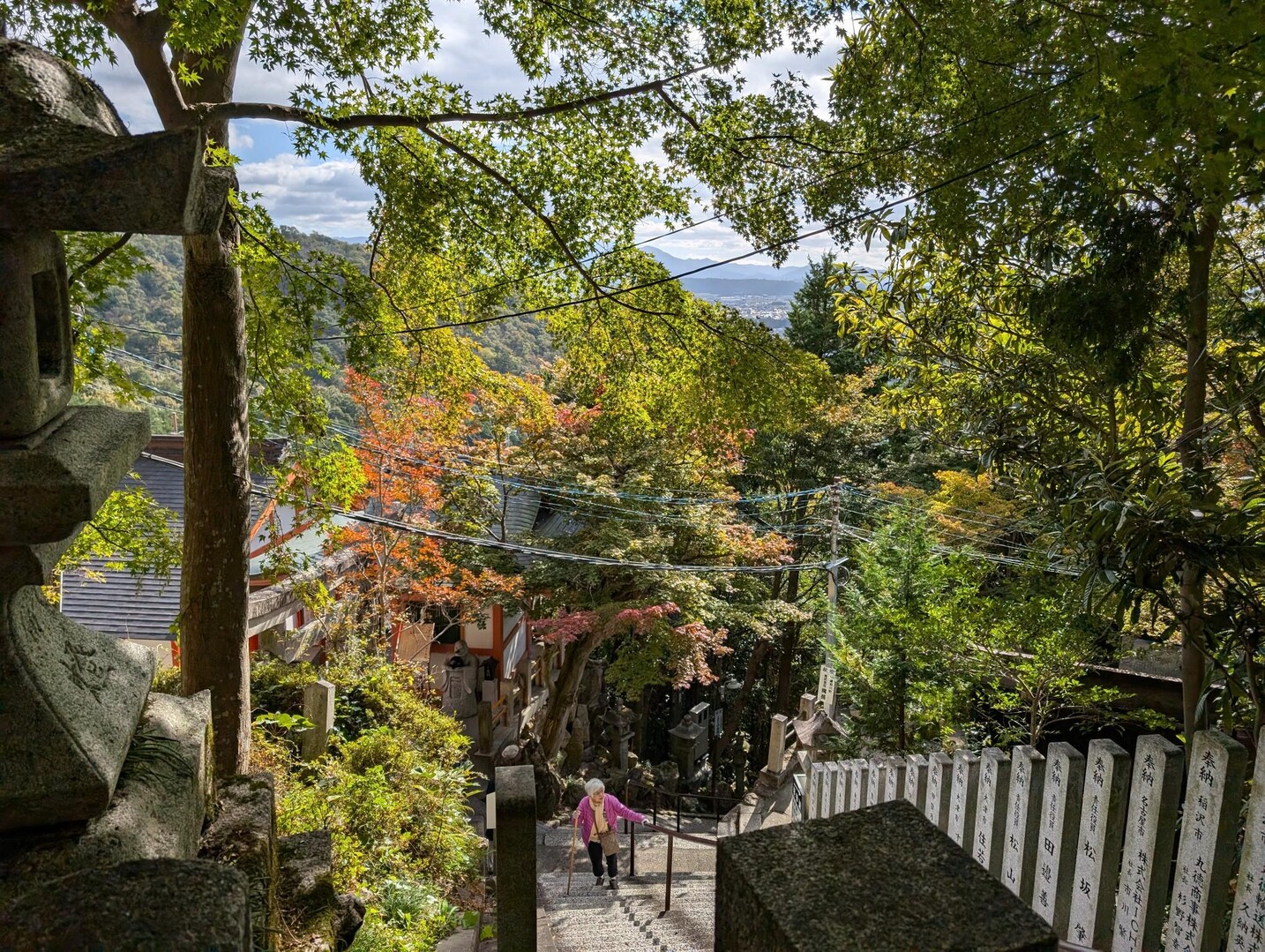 東近江トレイル 2回目 LSD兼リハビリ / himoさんの箕作山・太郎坊山の活動データ | YAMAP / ヤマップ