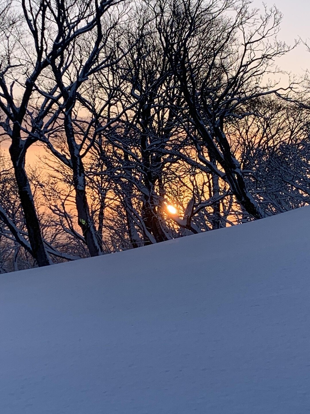 八石山 2024-03-03 / COCOさんの八石山の活動データ | YAMAP / ヤマップ