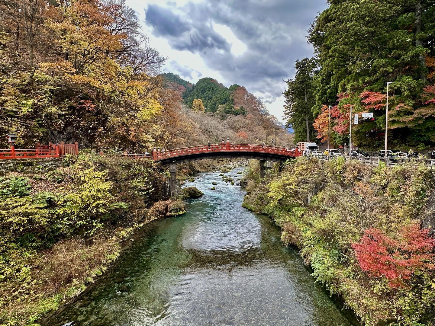 根っこだらけの鳴虫山💦 / Beniさんの鳴虫山・火戸尻山の活動データ | YAMAP / ヤマップ