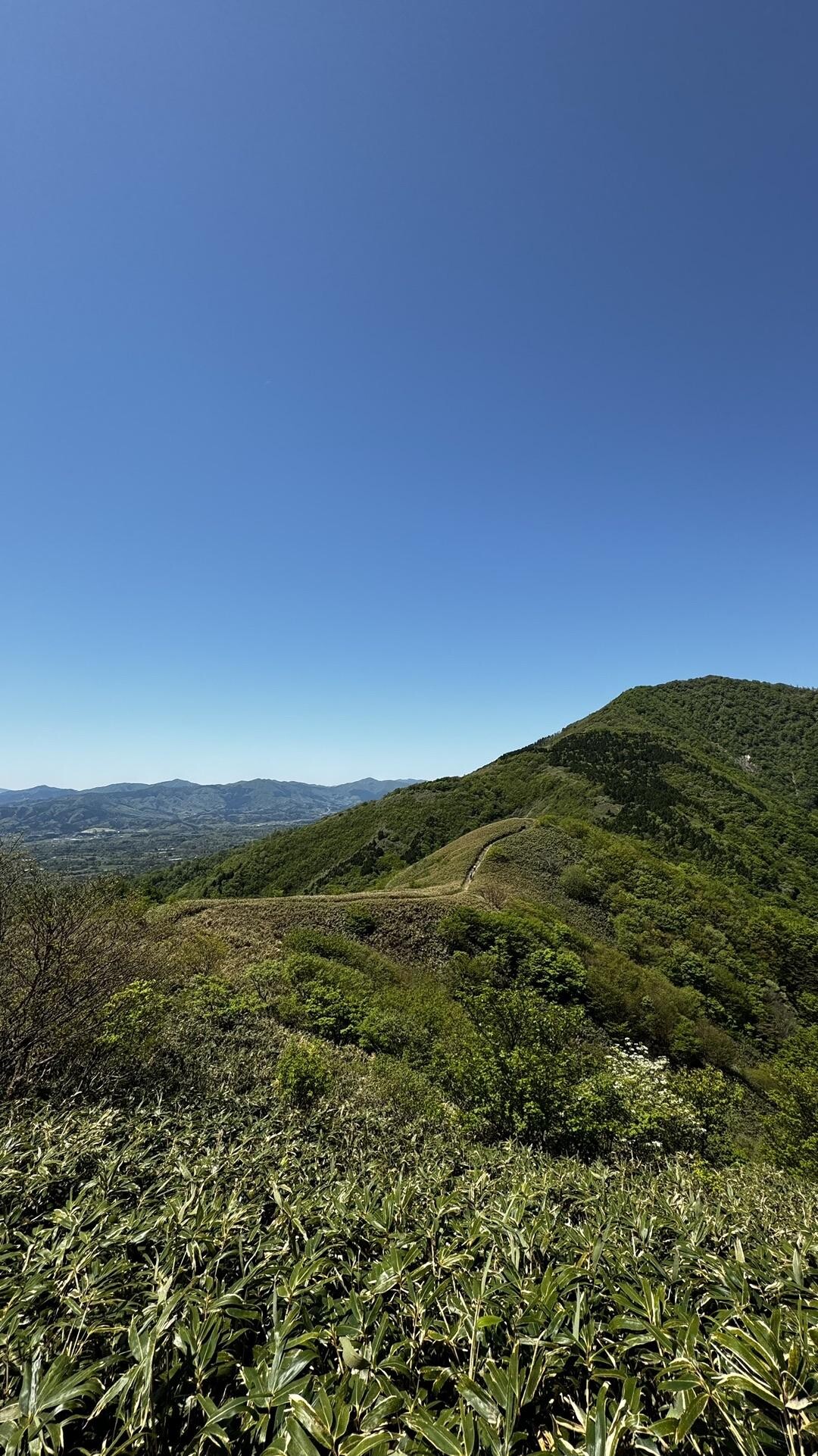 中蒜山・下蒜山 / gussanさんの蒜山の活動データ | YAMAP / ヤマップ