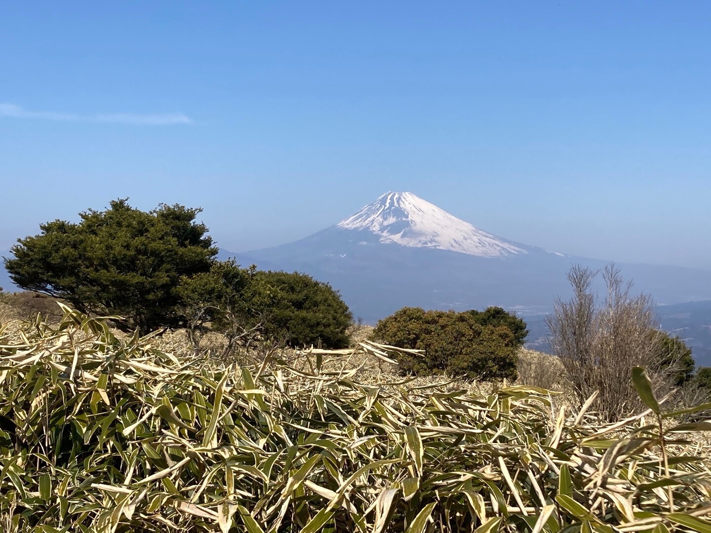 smashaceさんの投稿したフィールドメモ | YAMAP / ヤマップ