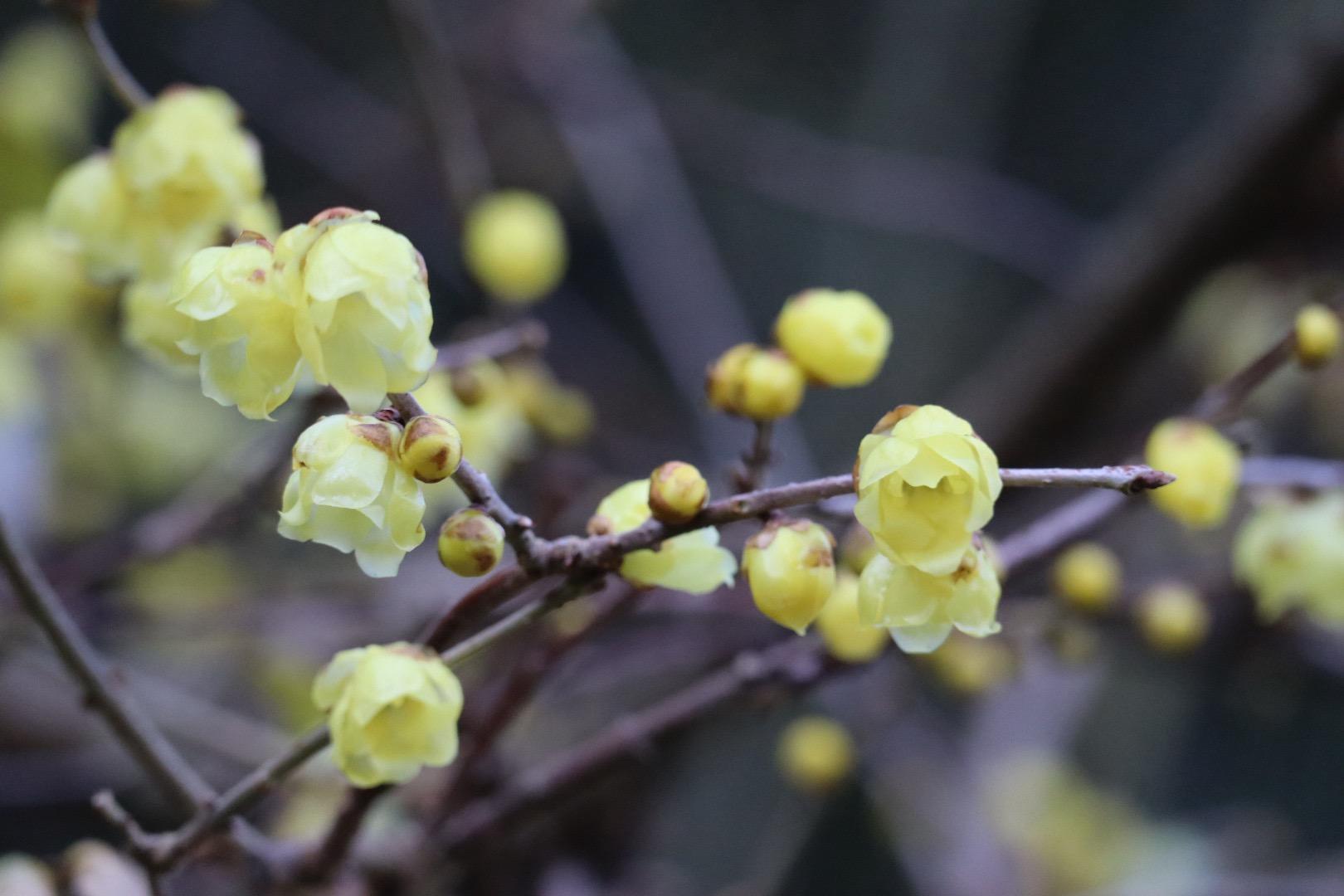 許斐山 / nekoさんの許斐山の活動データ | YAMAP / ヤマップ