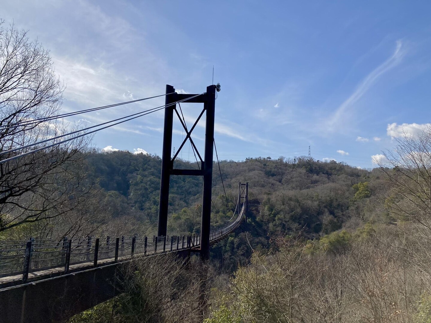 星田連山60座‼️ / rokuさんの交野山・国見山の活動データ | YAMAP / ヤマップ