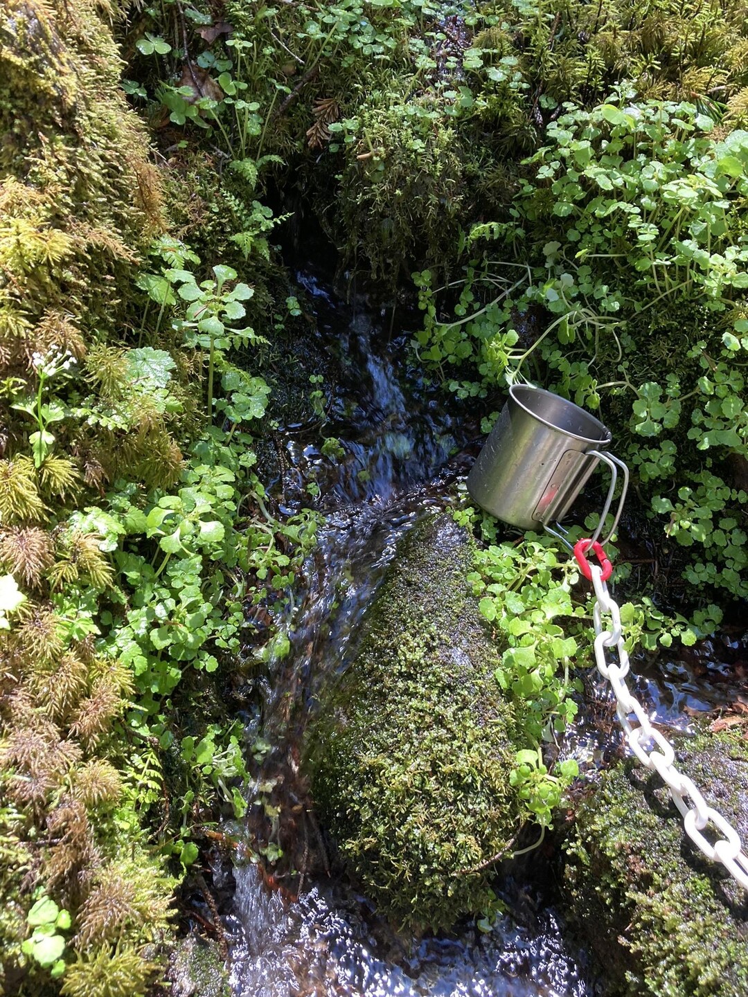 甲武信ヶ岳 ギリ日帰り登山 / BONDIさんの甲武信ヶ岳の活動日記 | YAMAP / ヤマップ